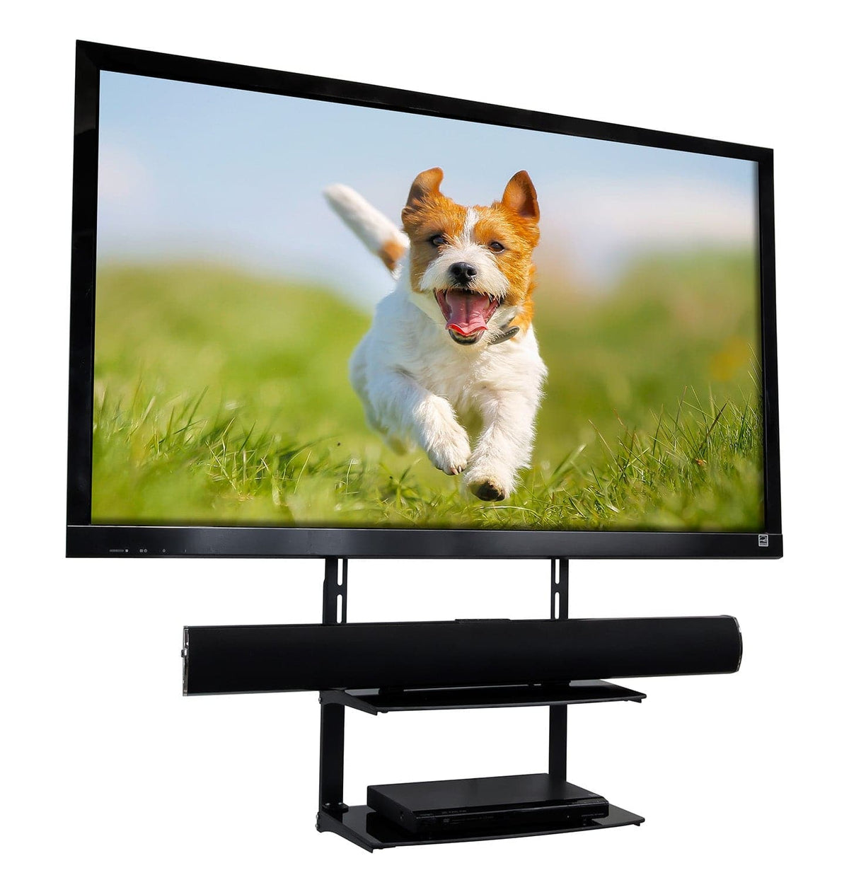 Maximize Space with TV Component Shelves | Mount-It!